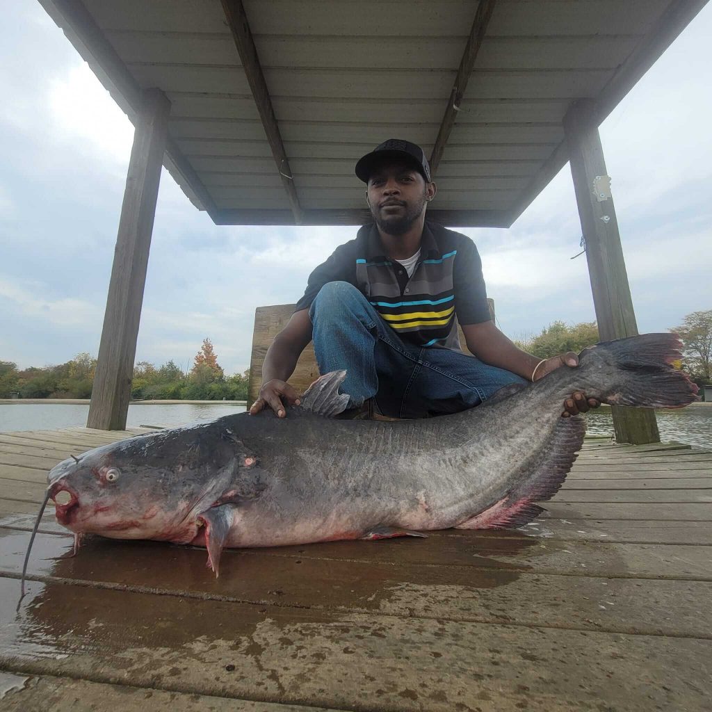 Gallery – Catfishermans Paradise 2